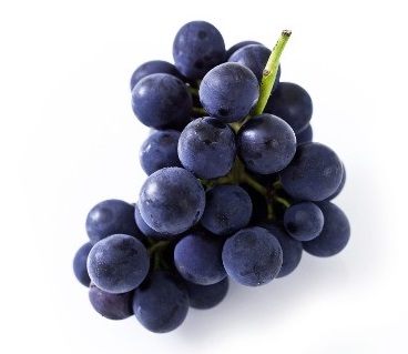 OBST / FRÜCHTE / EXOTEN – Buuregarte Boog